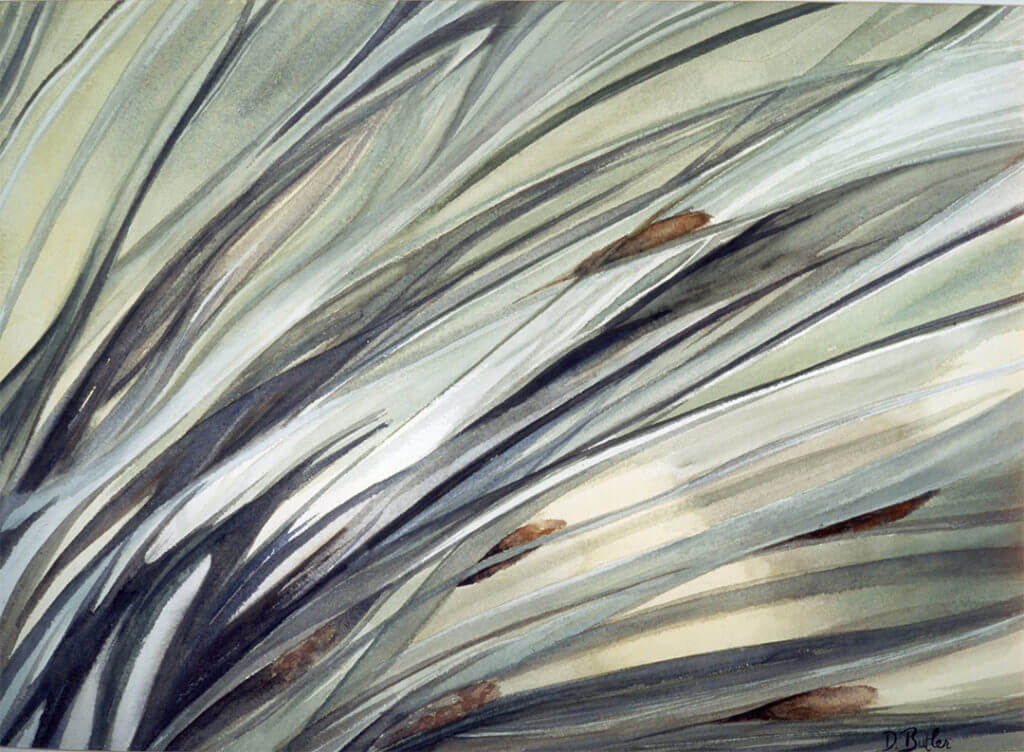 Dr. Butler's Paintings - David M. Butler MD Plastic Surgery